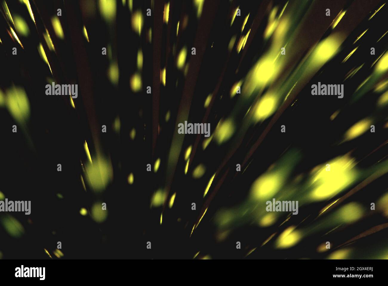 Falling lights hi-res stock photography and images - Alamy