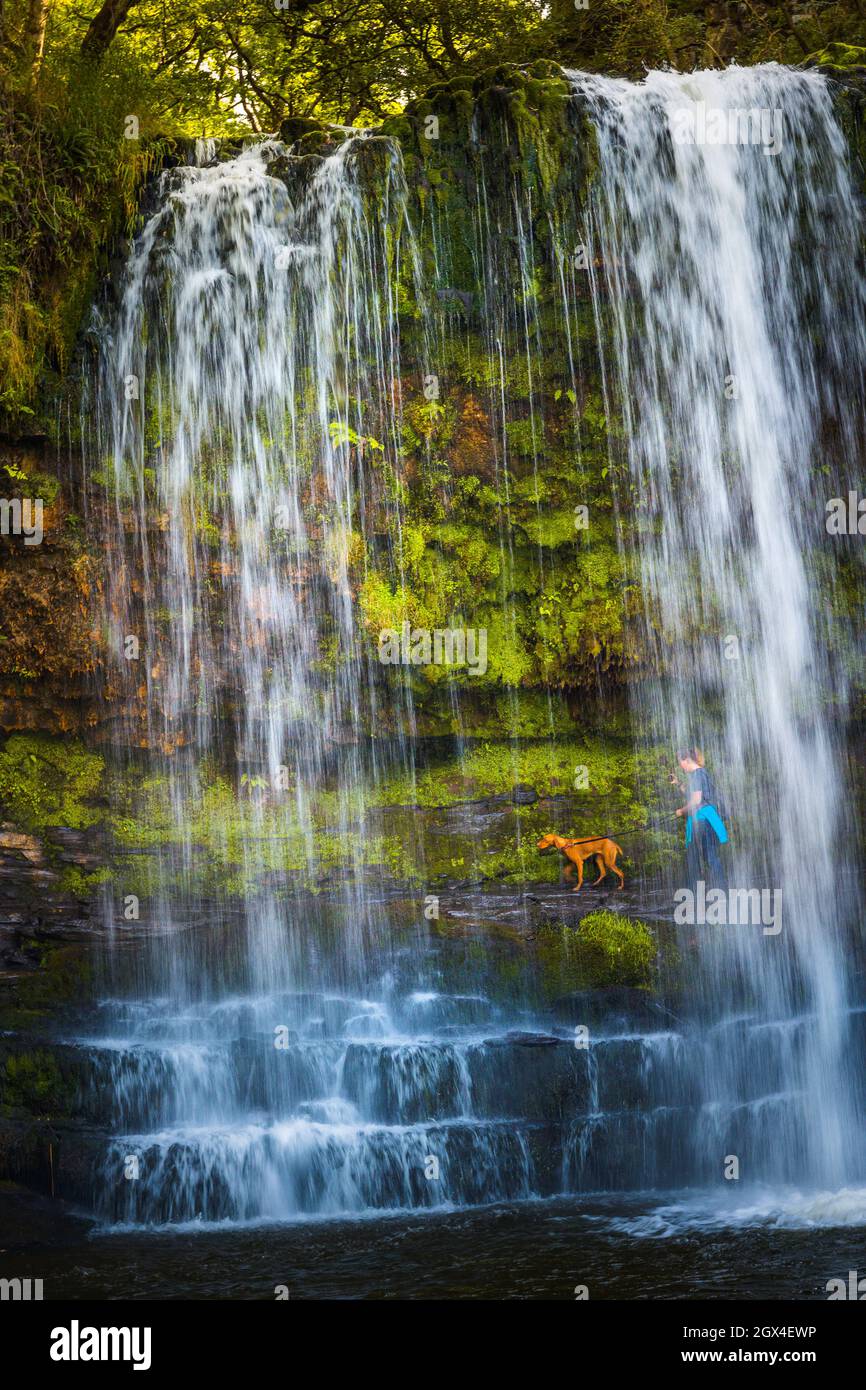Sqwd yr Eira Waterfall , Brecon Beacons Stock Photo - Alamy