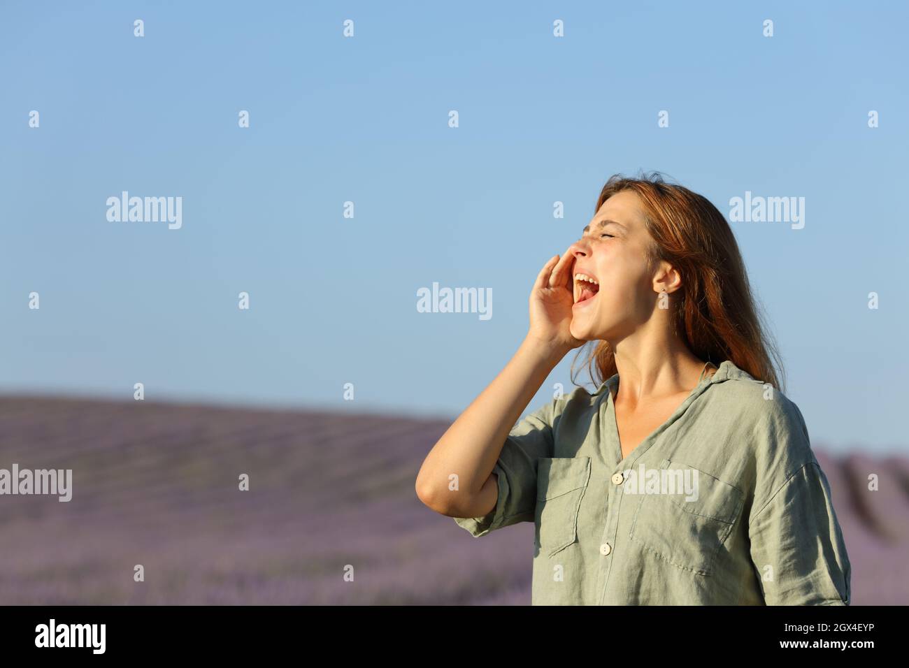 Single woman screaming loud in a lavender field Stock Photo - Alamy