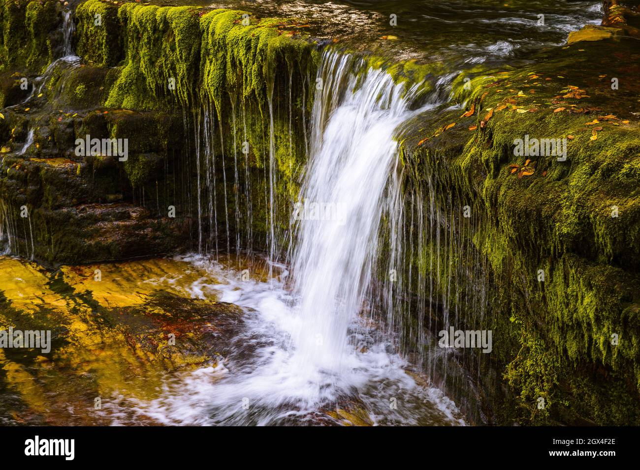 Sqwd y pannwr hi-res stock photography and images - Alamy