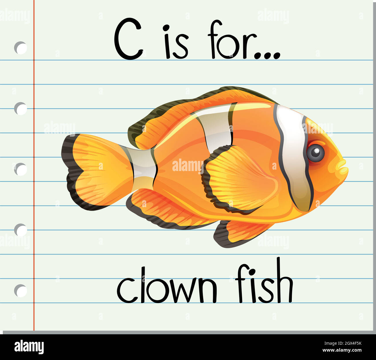 Flashcard letter C is for clown fish Stock Vector Image & Art - Alamy