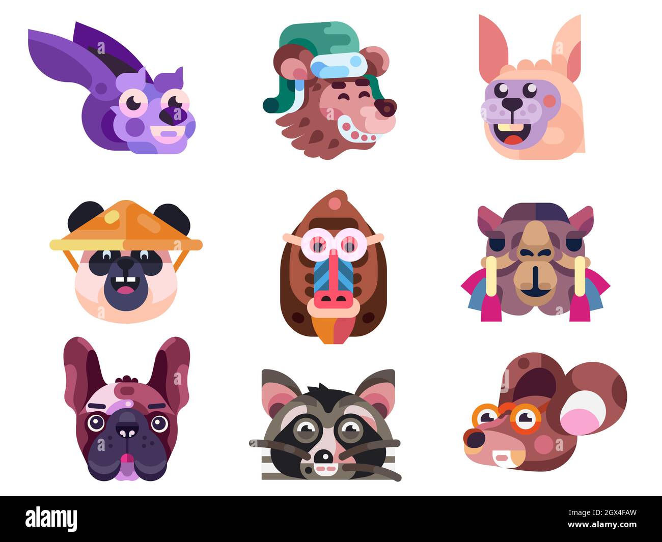 Raccoon face cat Cut Out Stock Images & Pictures - Alamy