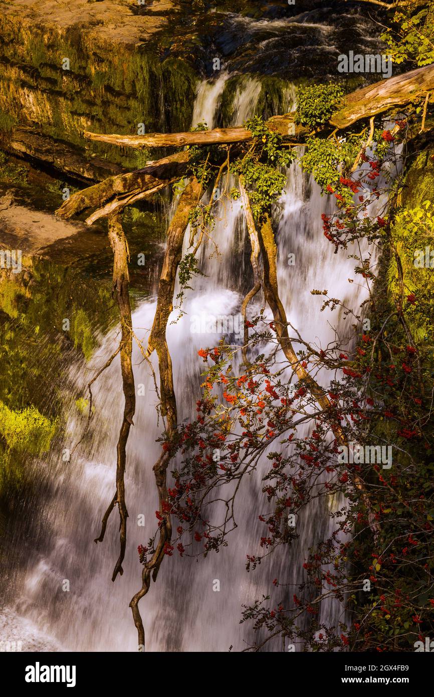 Sqwd clun gwyn hi-res stock photography and images - Alamy