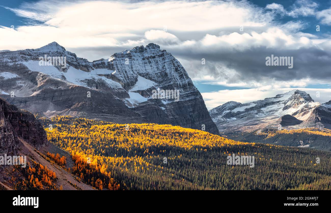 Scenic View of Canadian Rocky Mountains in Background Stock Photo - Alamy