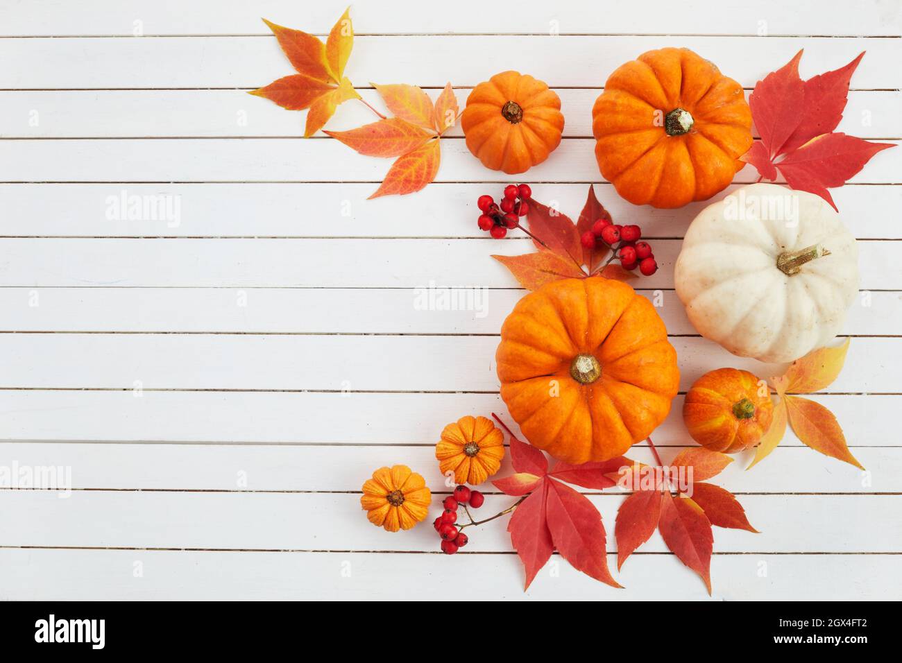 Autumn framework from pumpkins, berries and leaves on a travertine ...