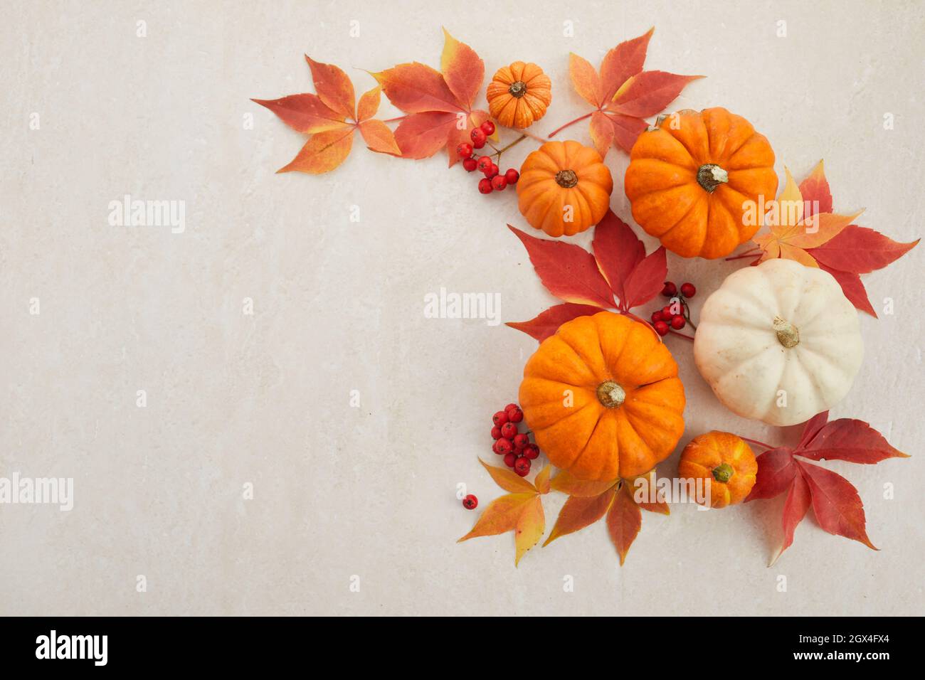 Autumn framework from pumpkins, berries and leaves on a travertine ...