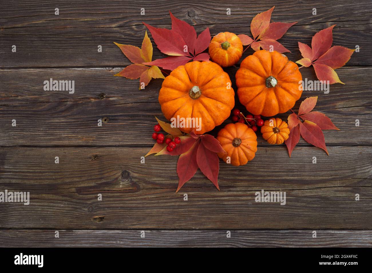 Framework pumpkins fall leaves hi-res stock photography and images - Alamy