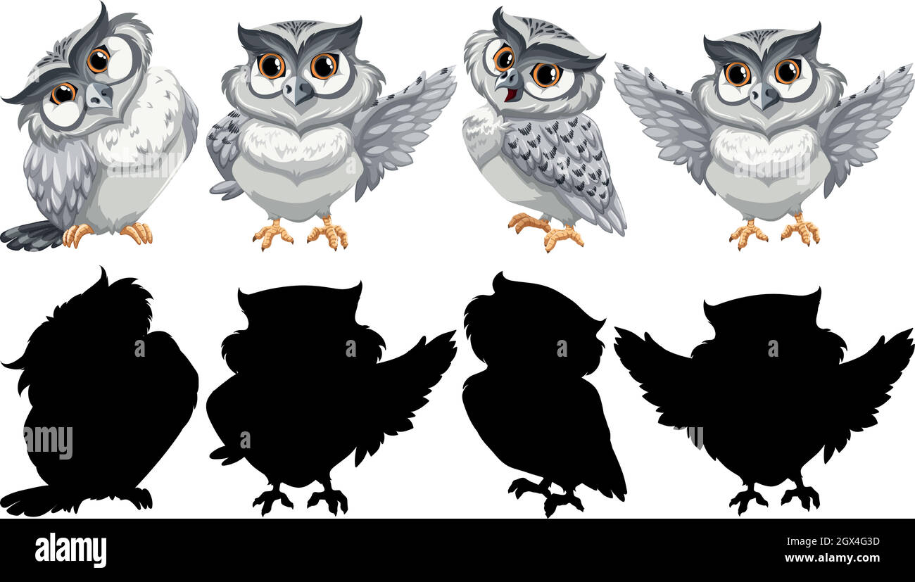 Set of owl character Stock Vector Image & Art - Alamy