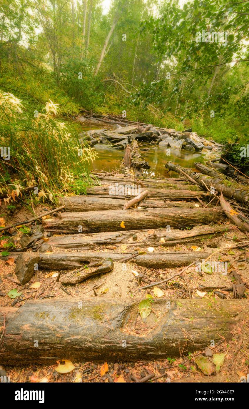 Old bridge is laying in the water hi-res stock photography and images ...