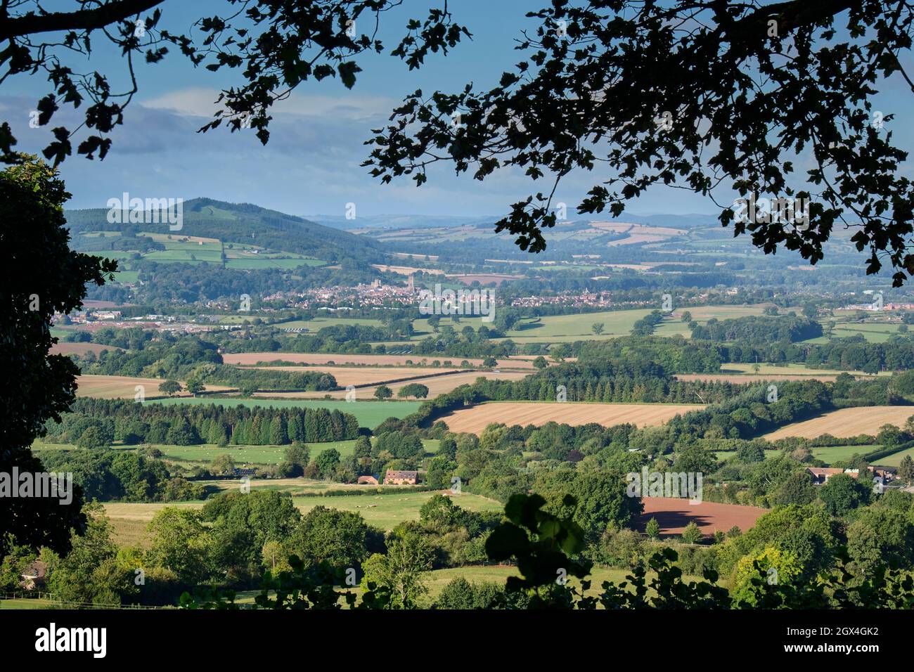Ludlow and Mortimer Forest and the Welsh Borders, seen from near ...