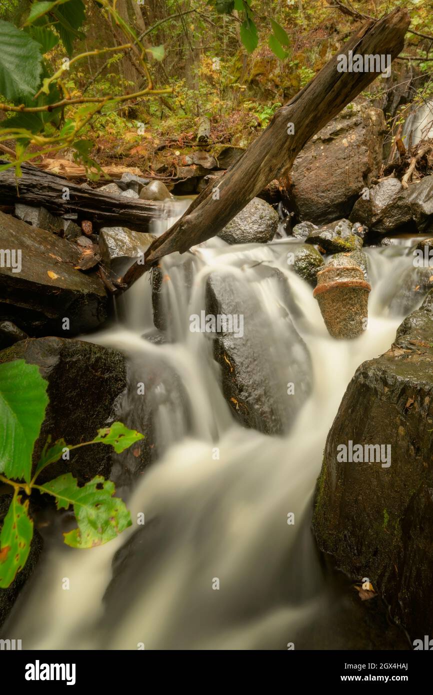 tree trunk and a rock with an waterfall Stock Photo - Alamy