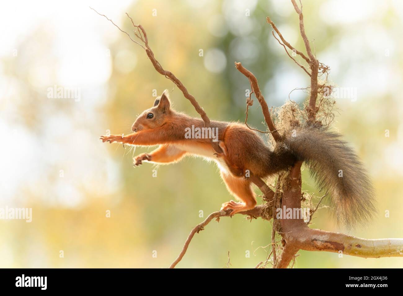 Heath and reach hi-res stock photography and images - Alamy