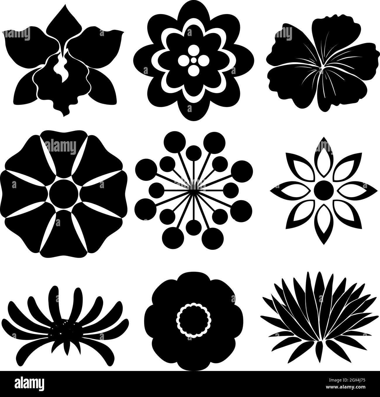 Group of floral templates Stock Vector Image & Art - Alamy