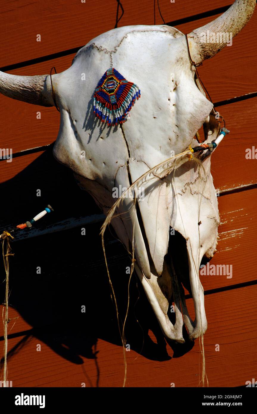 Skull of an animal ornamenting the roof of a house. Cuba (town located ...