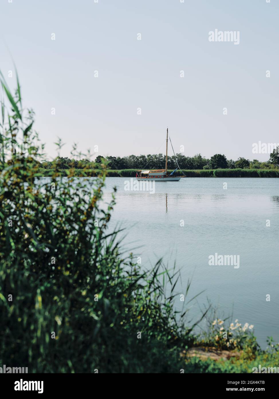 A traditional broads style sailing yacht safely moored out on a broad ...