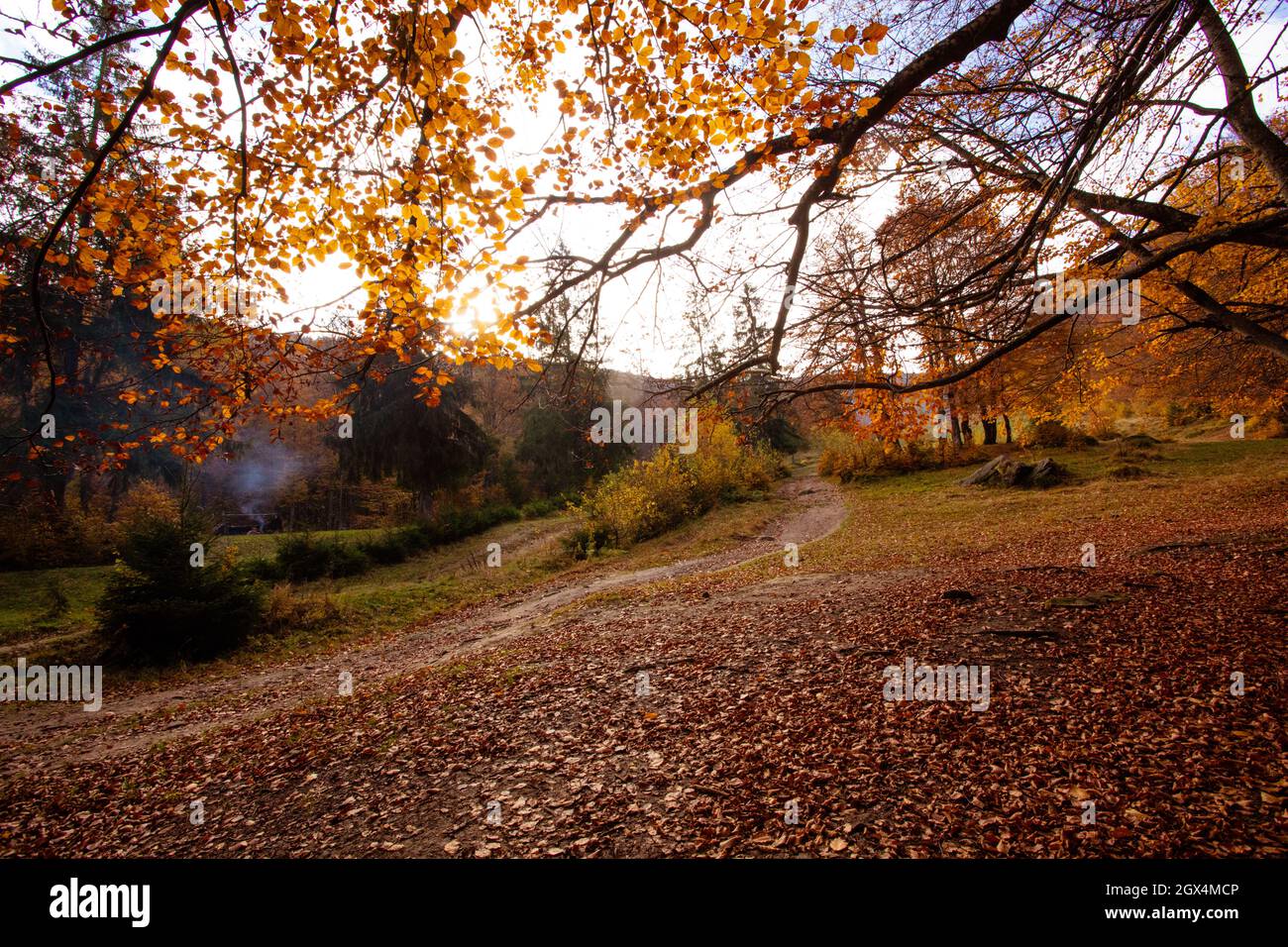 The countryside landscape of autumn forest in the mountains Stock Photo ...