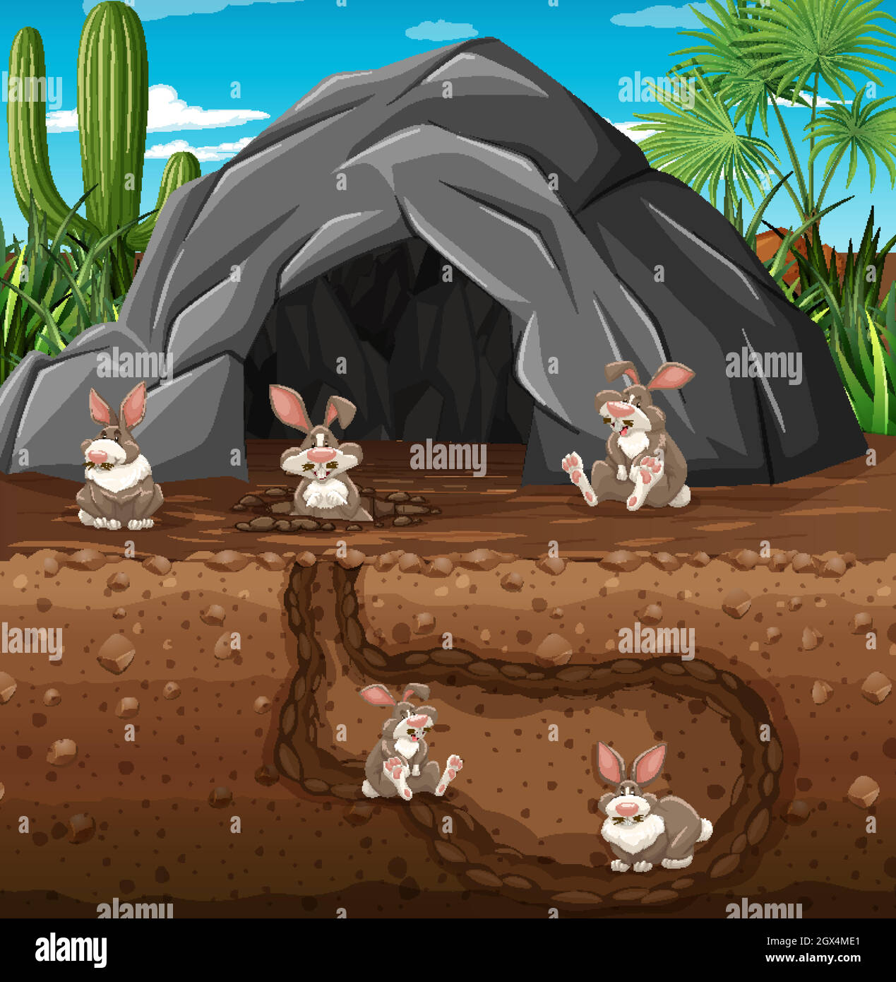 Animals Live Underground High Resolution Stock Photography and Images ...