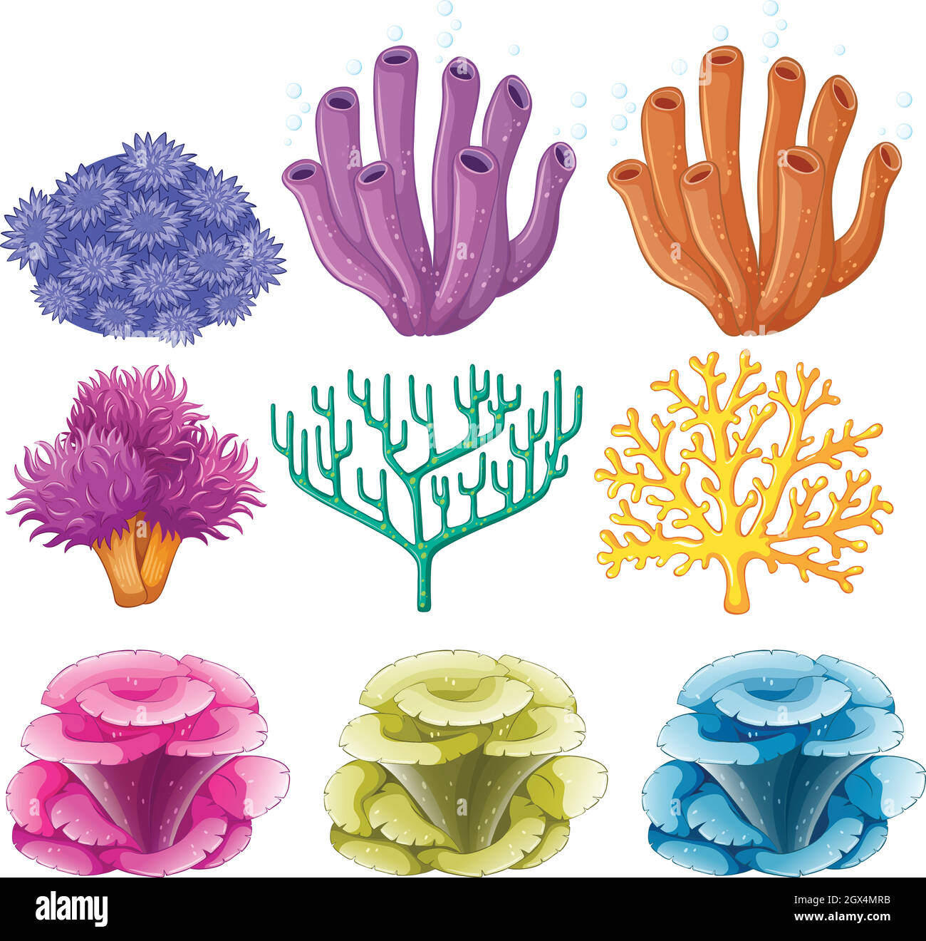 Different types of coral reef Stock Vector Image & Art - Alamy
