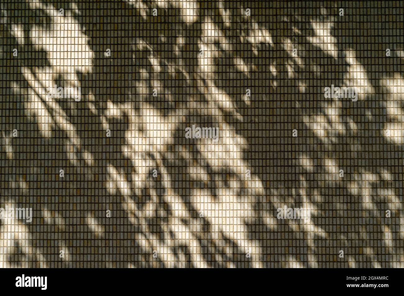 Organic shadows hi-res stock photography and images - Alamy