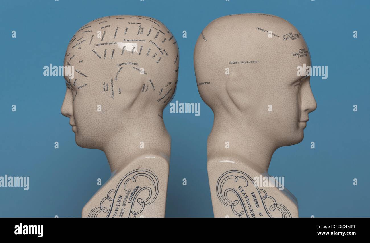 two phrenology heads, mental health concept Stock Photo - Alamy two phrenology heads, mental health concept Stock Photo - Alamy