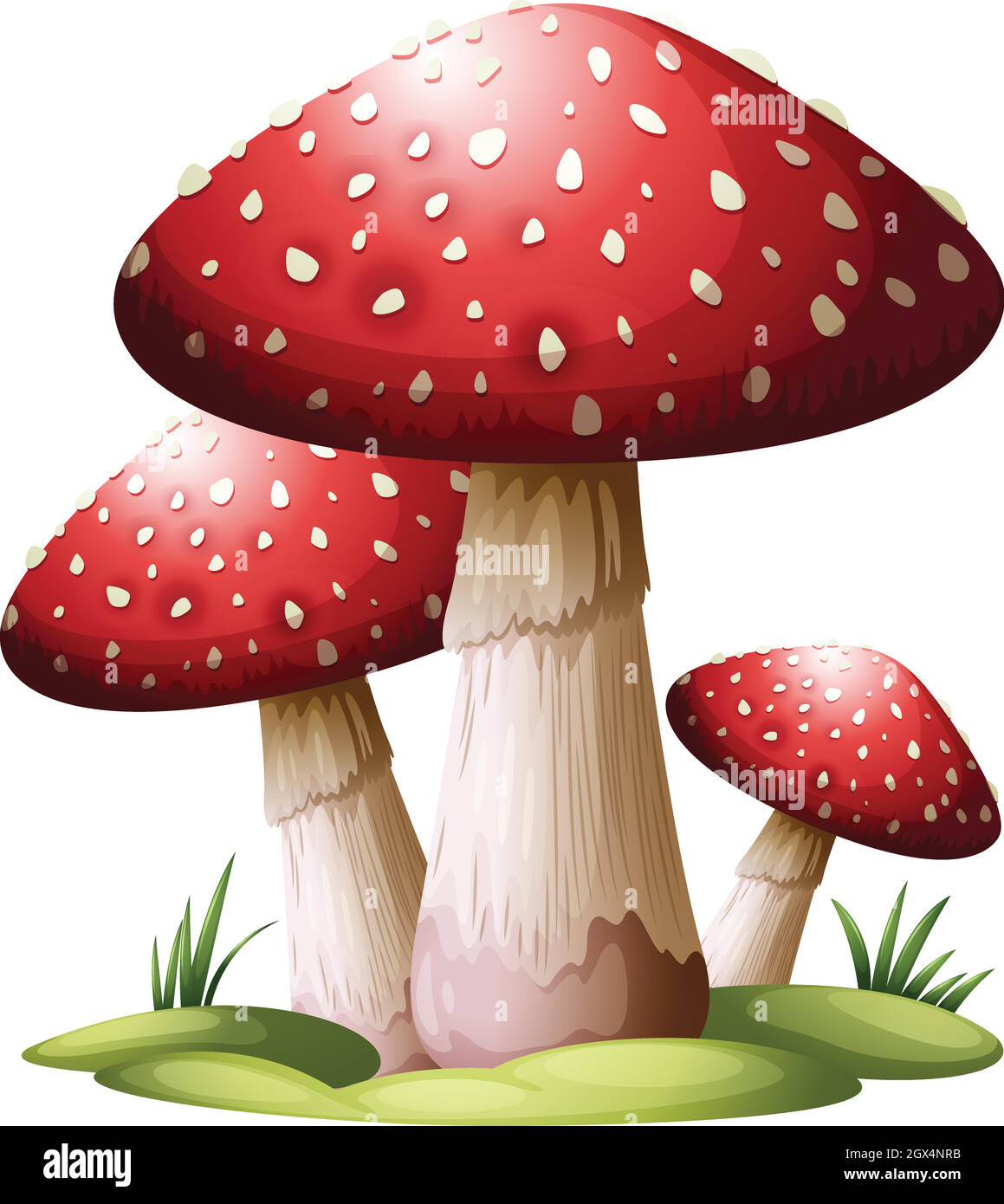 Mushroom illustration hi-res stock photography and images - Alamy