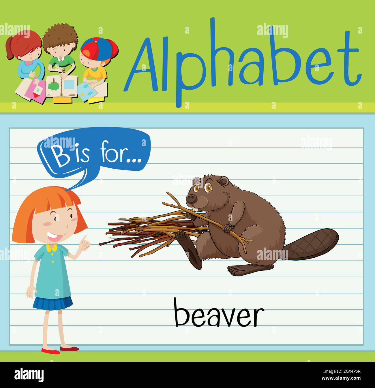 Flashcard letter B is for beaver Stock Vector Image & Art - Alamy