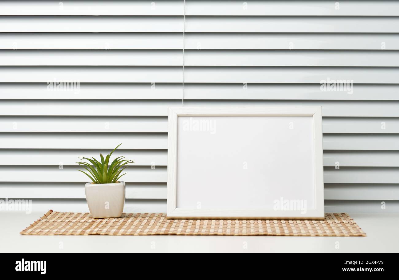 empty white wooden photo frame and flowerpots with plants on white ...