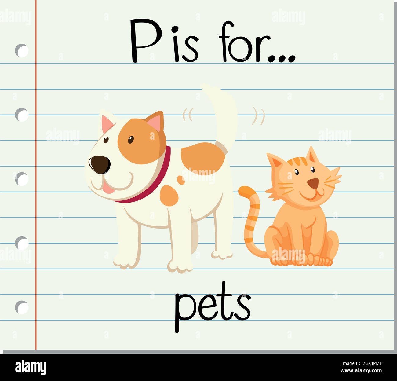 Flashcard letter P is for pets Stock Vector Image & Art - Alamy