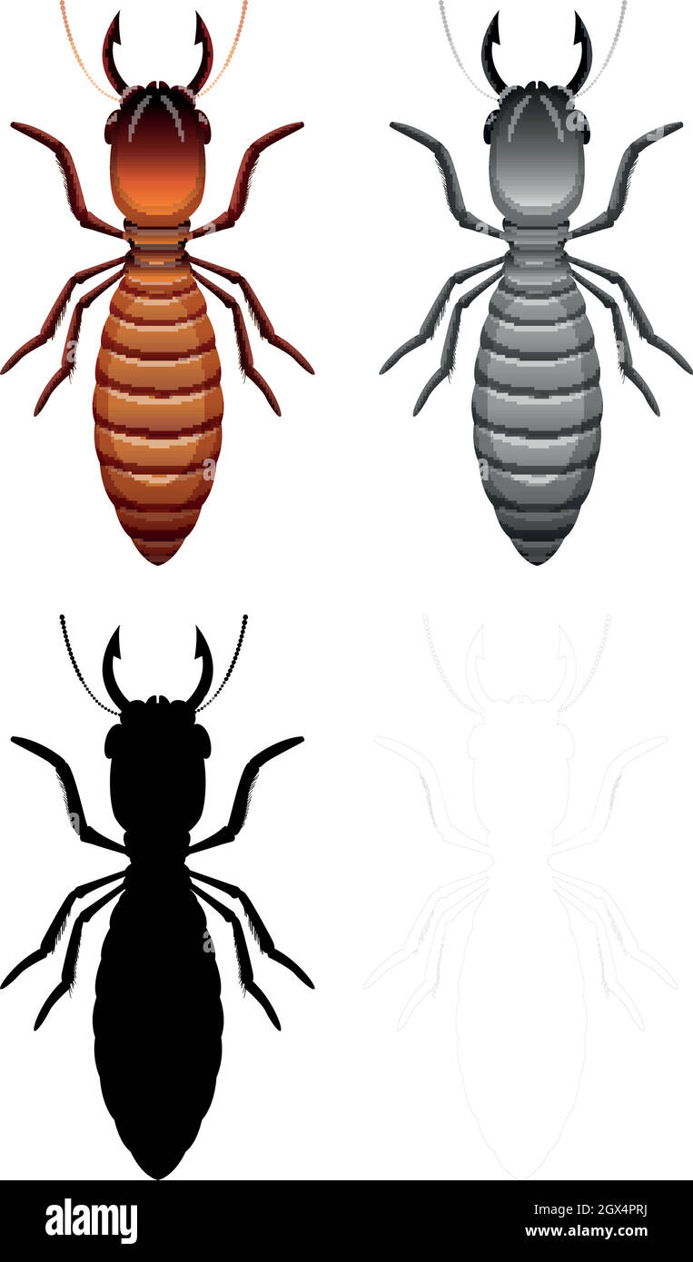 Termite Stock Vector Images - Alamy