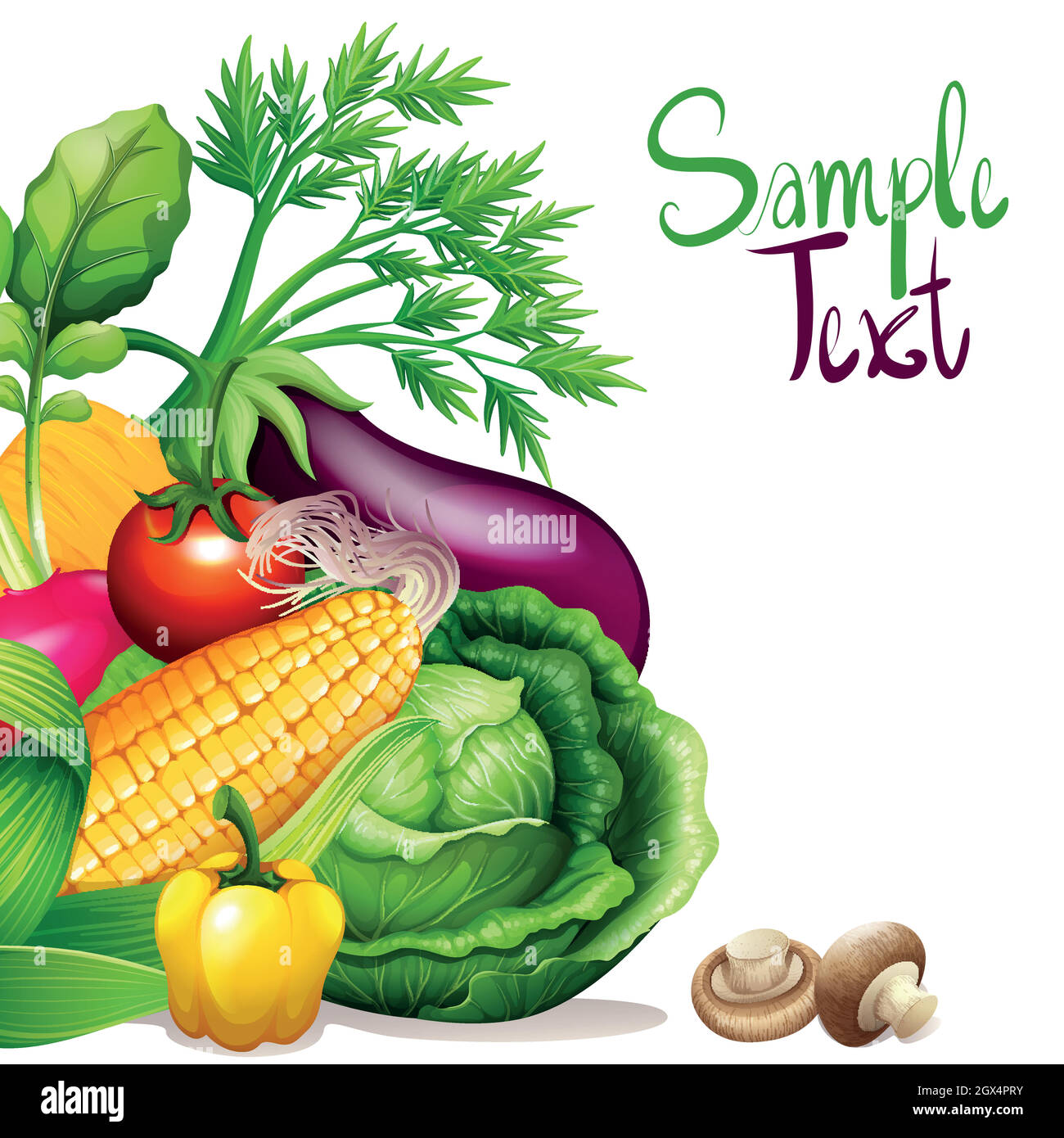 White banner space text Stock Vector Images - Alamy