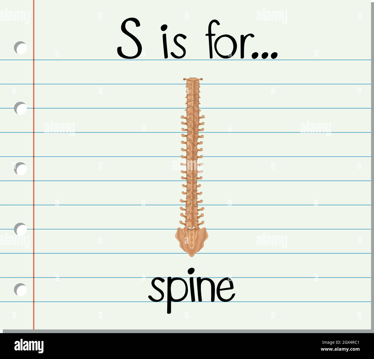 Human body letters Stock Vector Images - Alamy