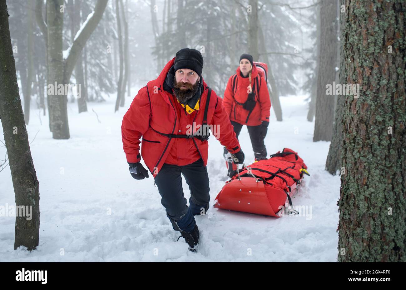 Mountain rescue service provide operation outdoors in winter in forest ...
