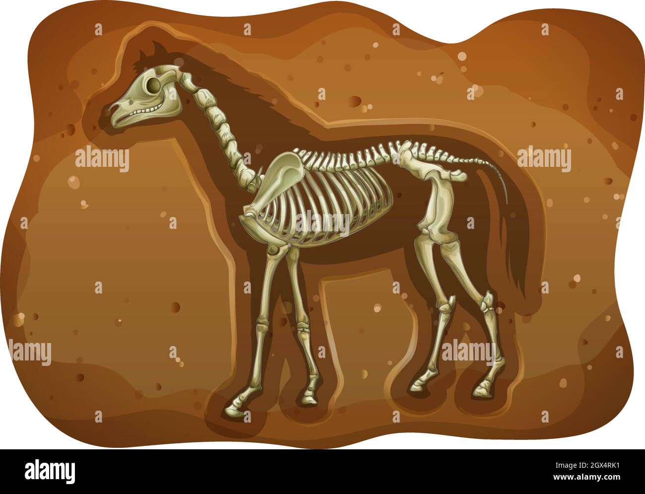 Fossil dig cartoon hi-res stock photography and images - Alamy