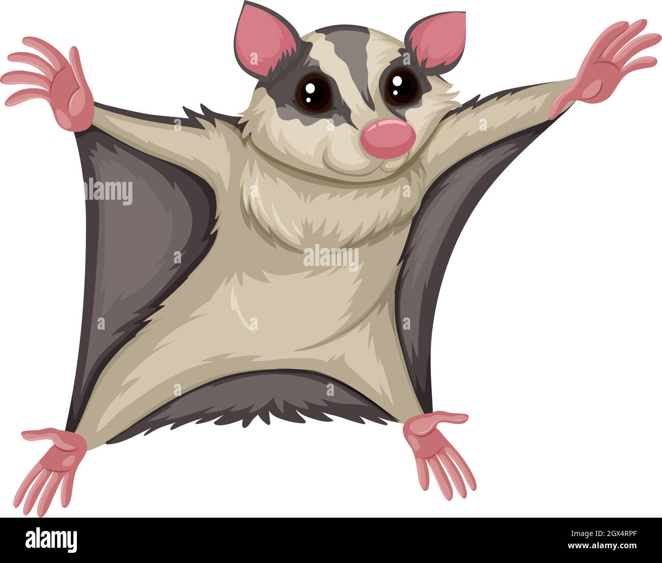 Flying squirrel clipart hi-res stock photography and images - Alamy