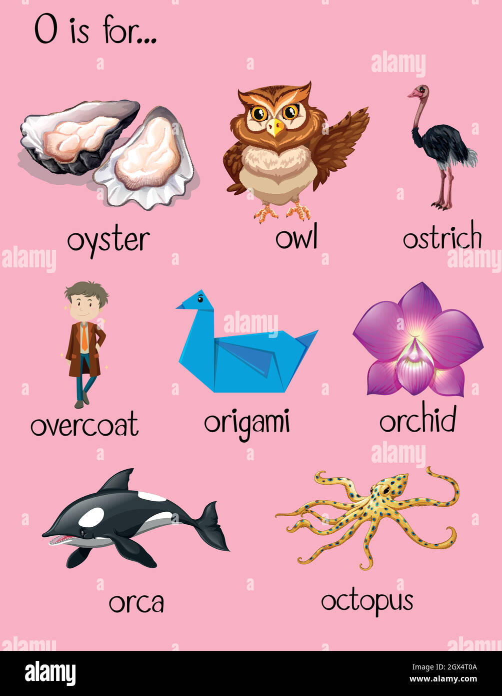 Objects That Start With Letter O