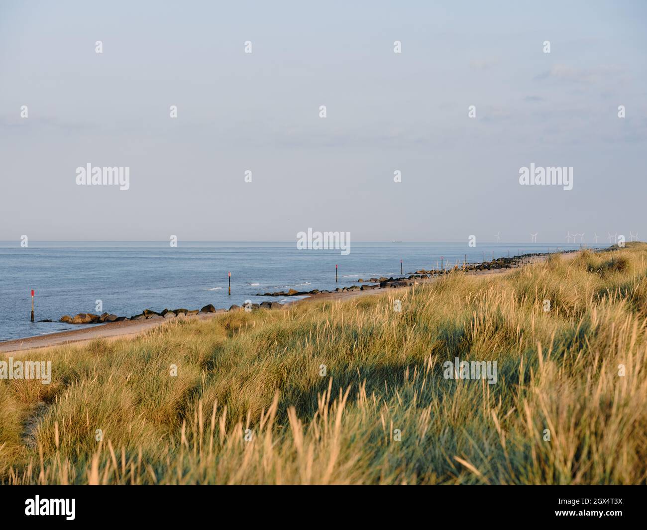 The coastal sand dune and grass landscape of the Norfolk coast in ...
