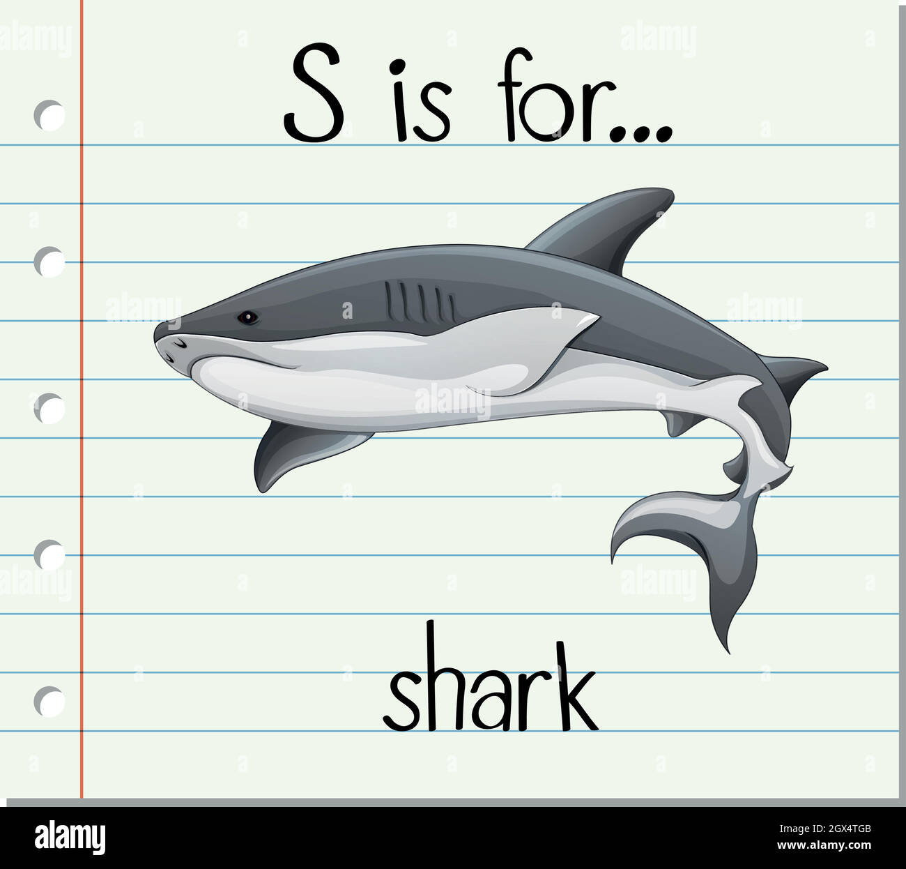 Flashcard letter S is for shark Stock Vector Image & Art - Alamy