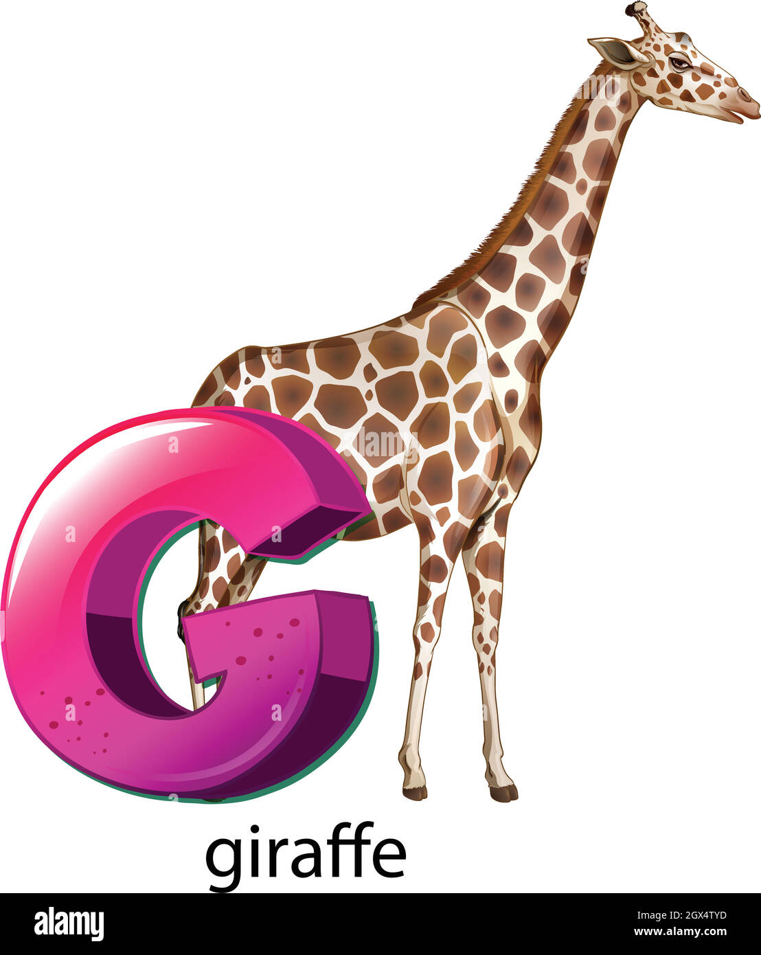 Ossicones Stock Vector Images - Alamy