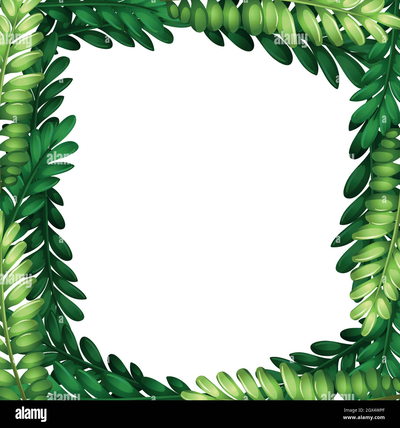 Nature leaf branch border Stock Vector Image & Art - Alamy