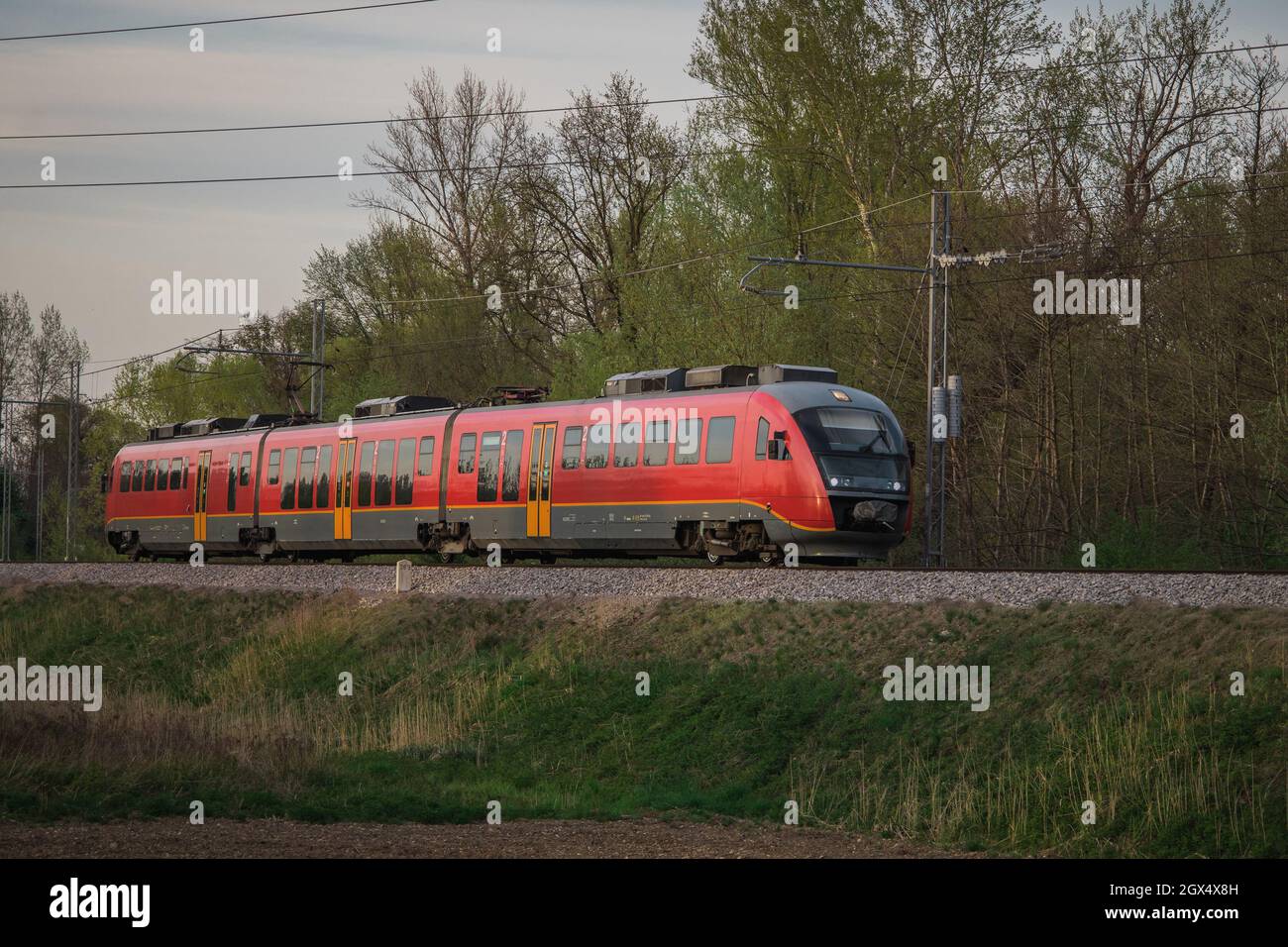 Red modern commuter passenger train in a rural environment. Slovenian ...