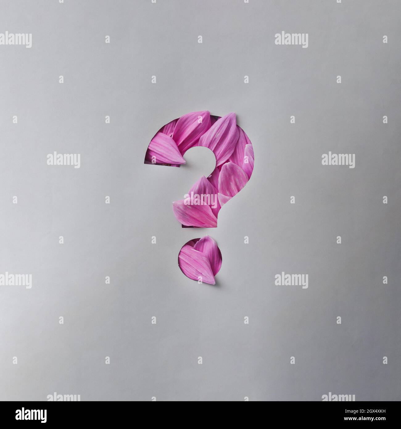 Question mark cut out of grey paper to reveal fresh pink flower petals ...