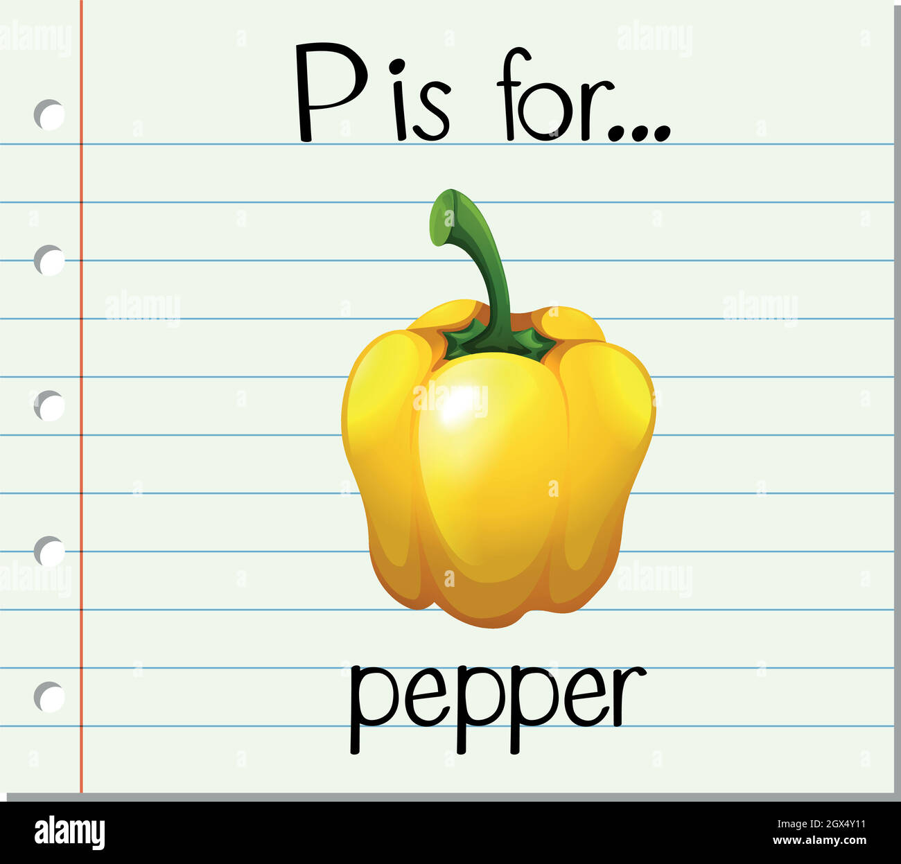 Flashcard letter P is for pepper Stock Vector Image & Art - Alamy