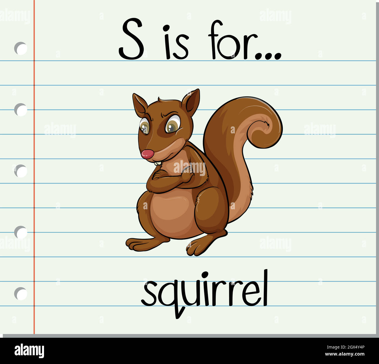 Flashcard letter S is for squirrel Stock Vector Image & Art - Alamy