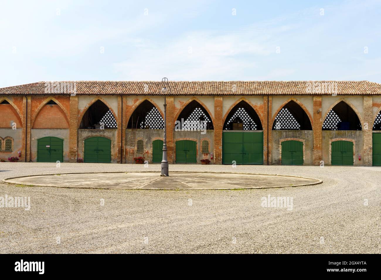 Celleri hi-res stock photography and images - Alamy