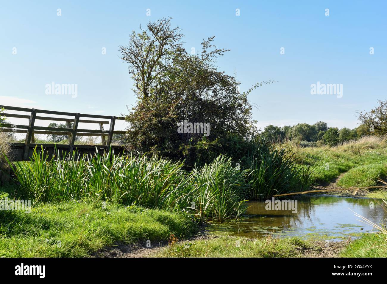 Quiet peaceful location hi-res stock photography and images - Alamy