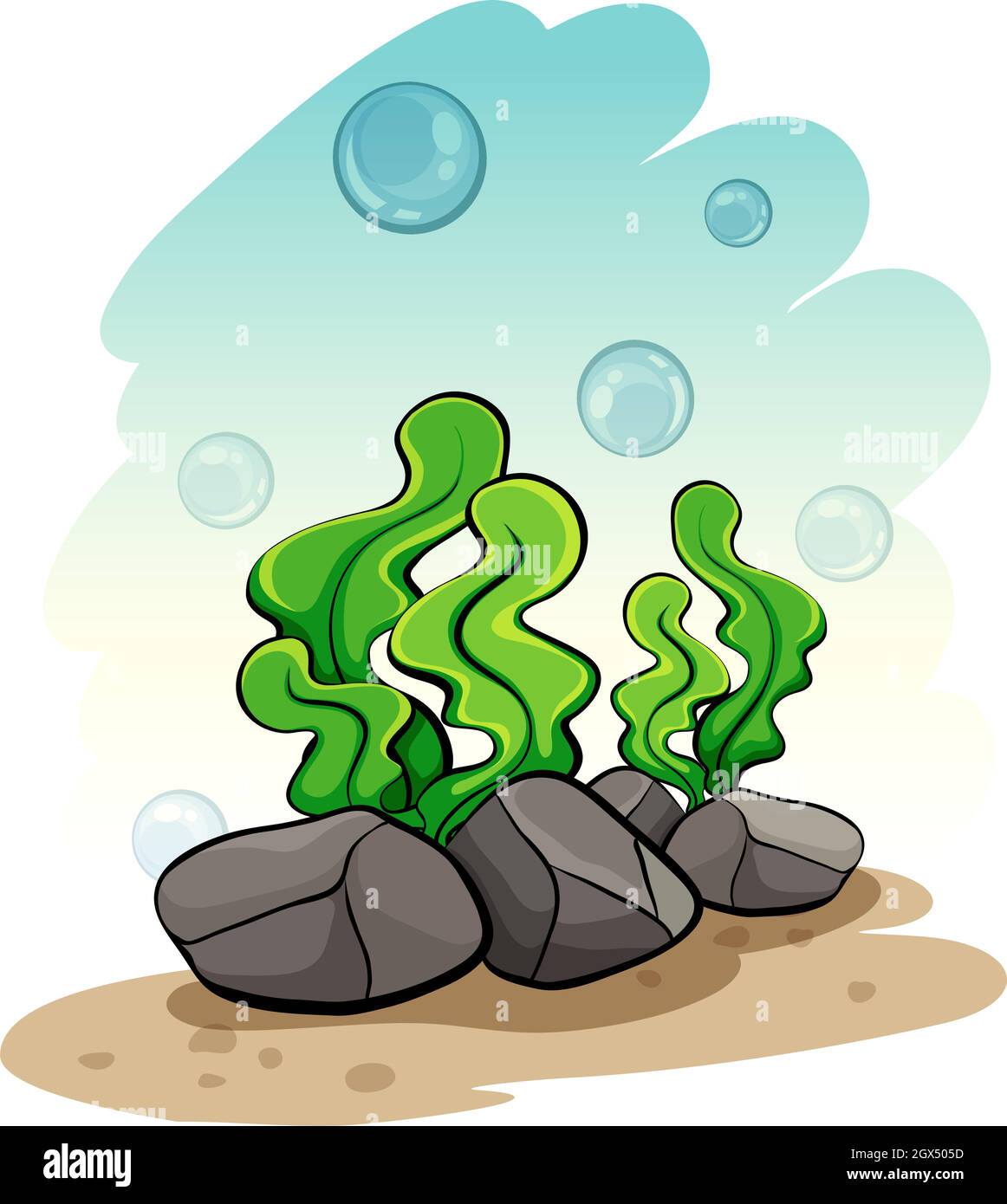 Under the plants Stock Vector Images - Alamy