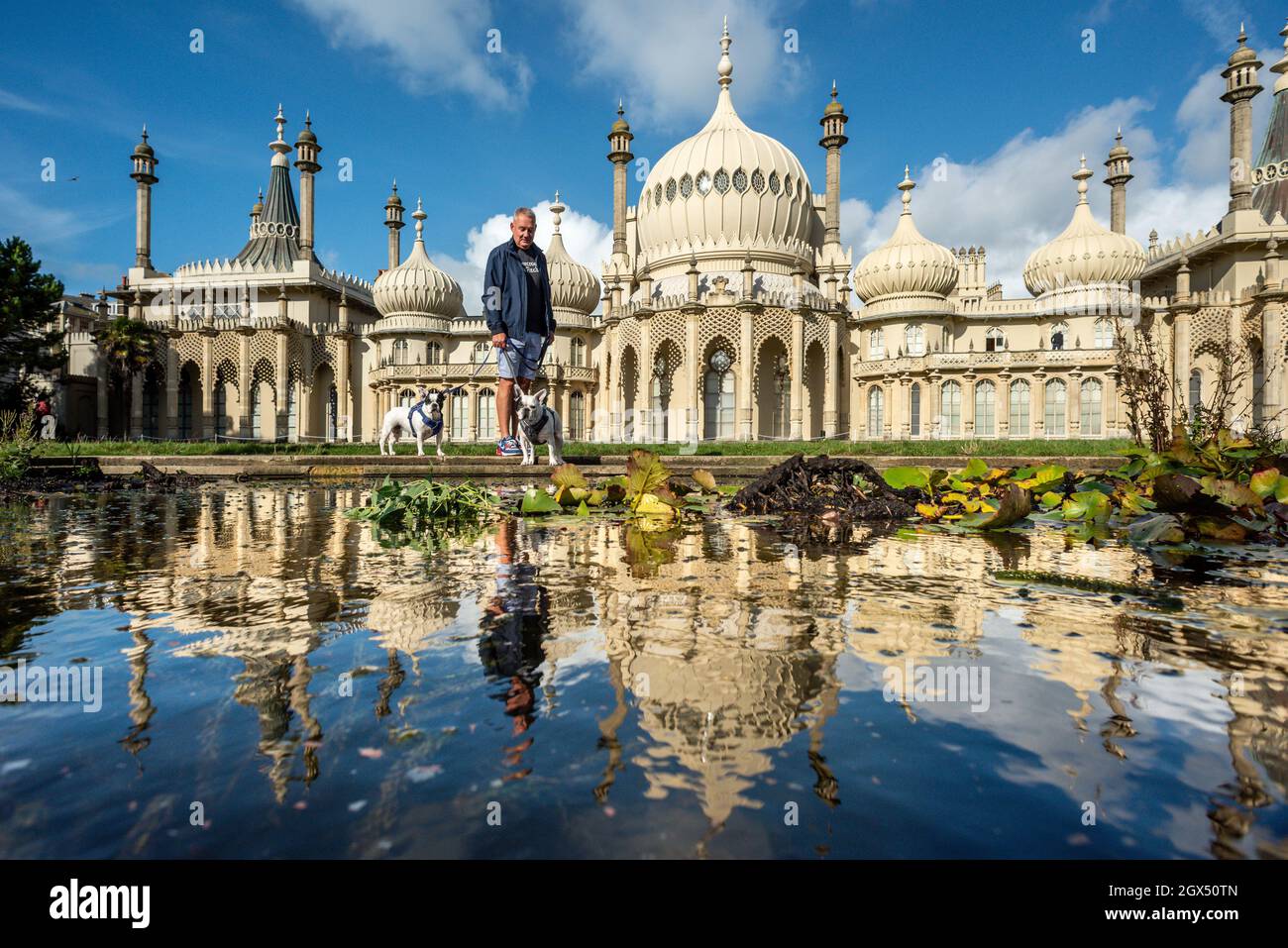 Brighton, October 4th 2021: A man walikng his dogs on a bright sunny ...