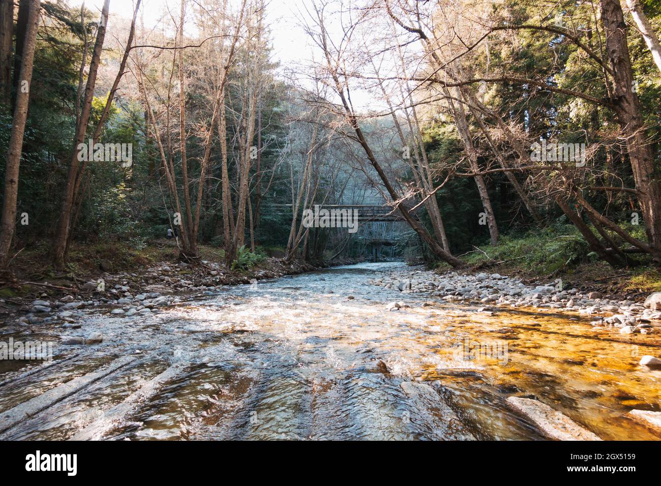 concrete beams provide steps across a river in Pfeiffer Big Sur State ...