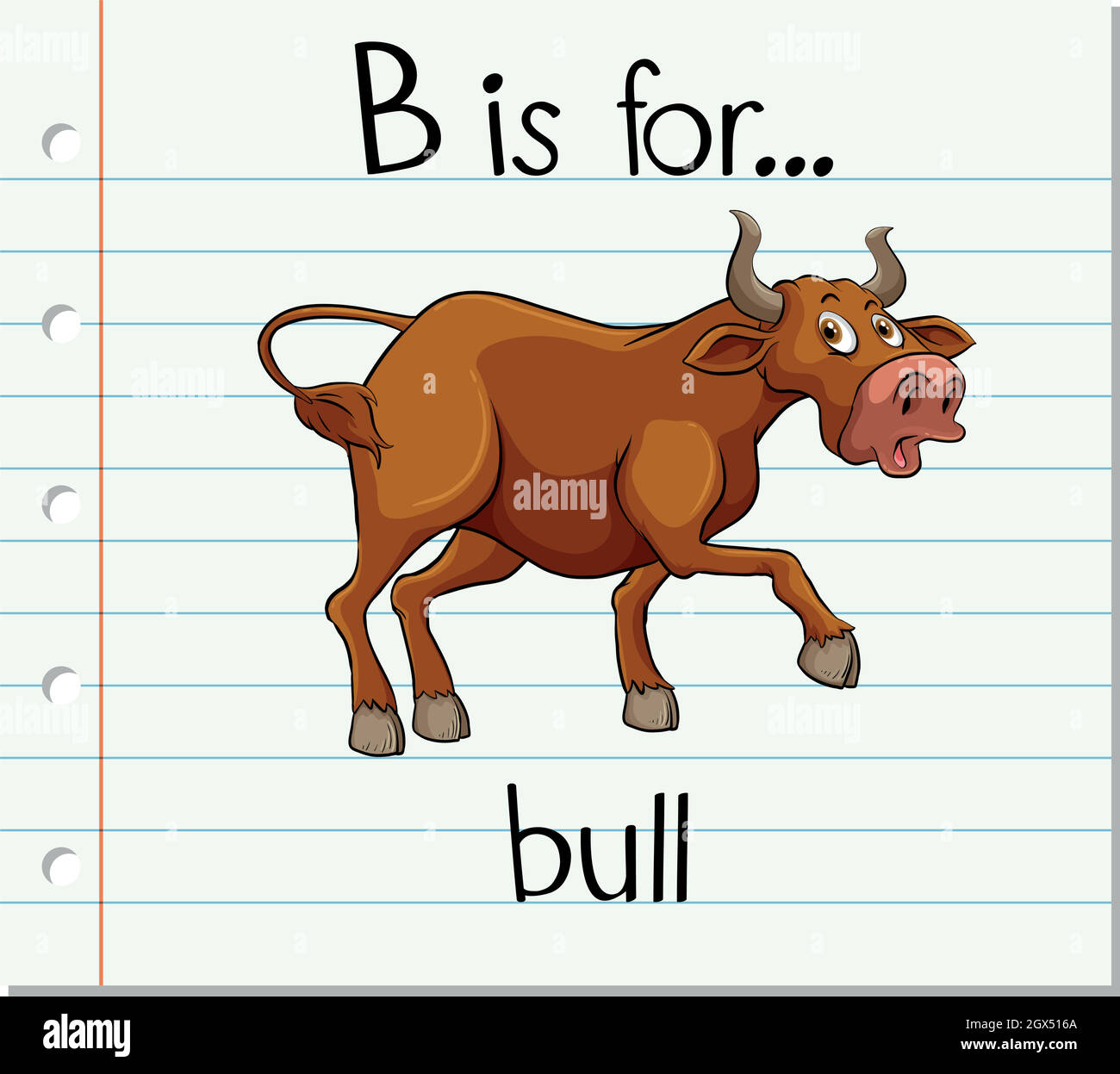 Flashcard letter B is for bull Stock Vector Image & Art - Alamy