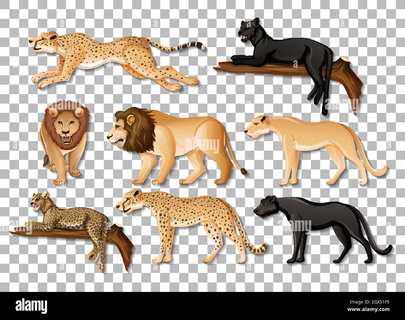 Set of isolated wild African animals on transparent background Stock ...